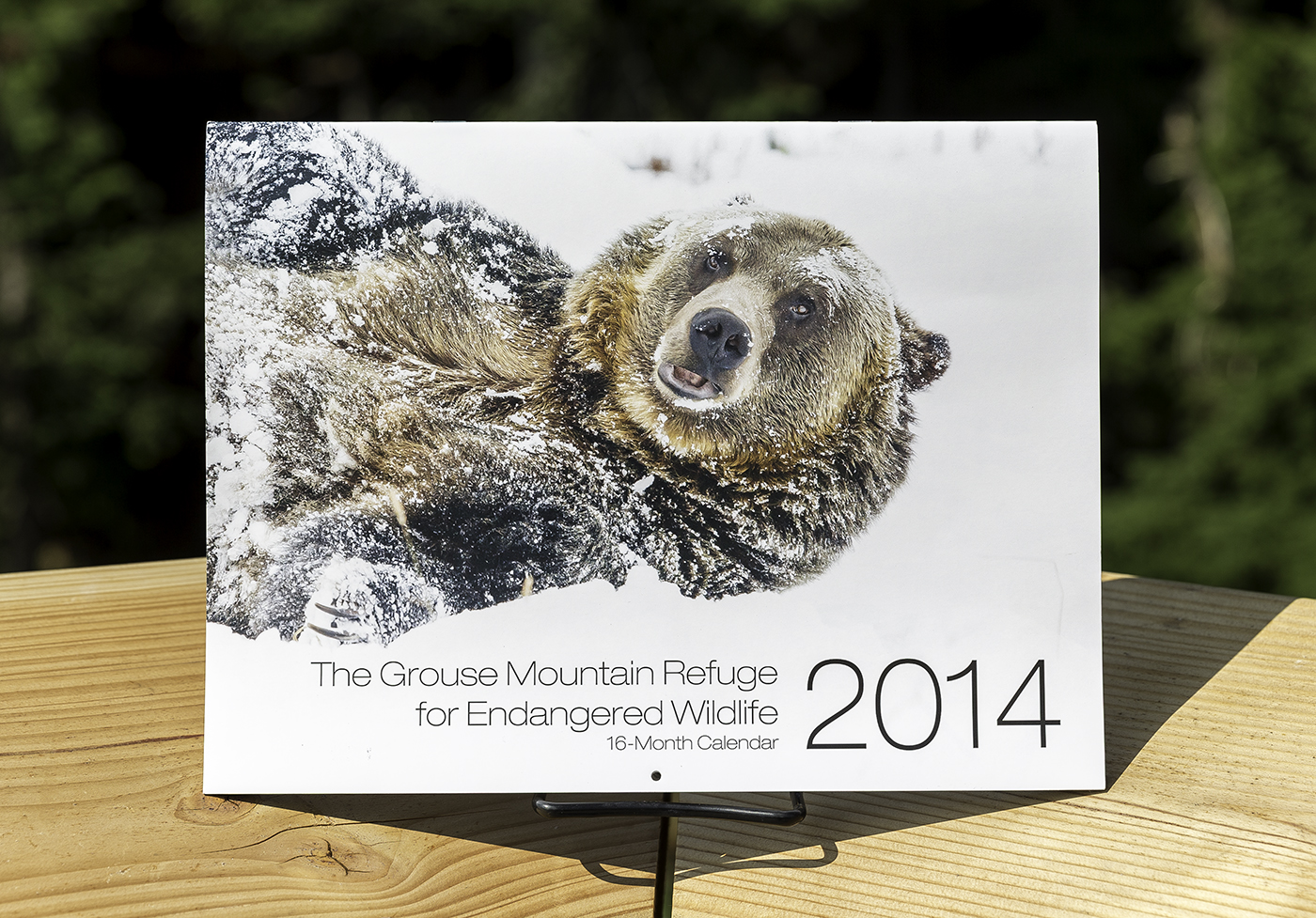 2013-14 Grouse Mountain Calendar Now Available | Grouse Mountain - The ...