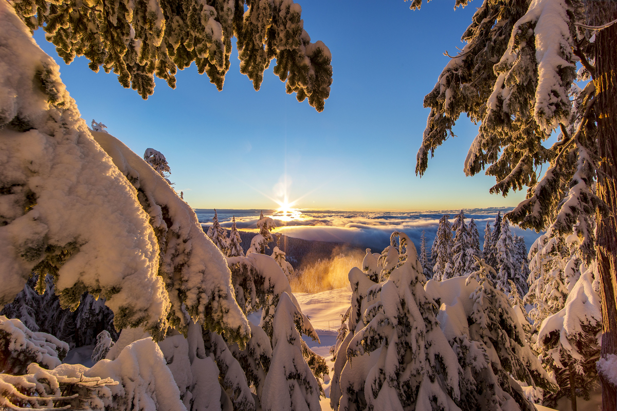 Yay Snow! 27 cm in the Last 48 Hours! | Grouse Mountain - The Peak of ...
