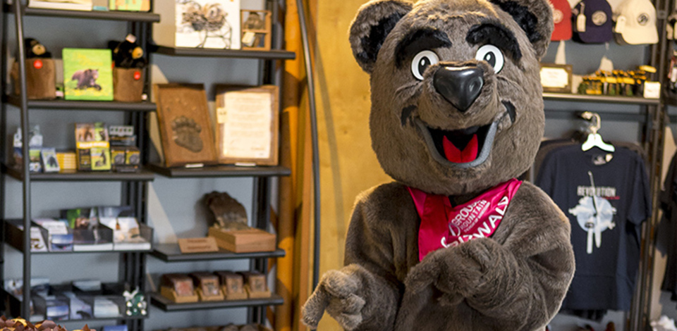 Breakfast with the Bears - Gallery | Grouse Mountain - The Peak of ...