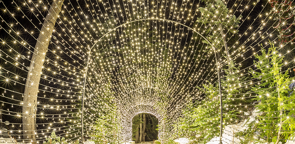 Light Walk | Grouse Mountain - The Peak of Vancouver