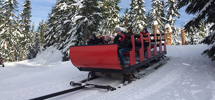 Sleigh Rides | Grouse Mountain - The Peak of Vancouver