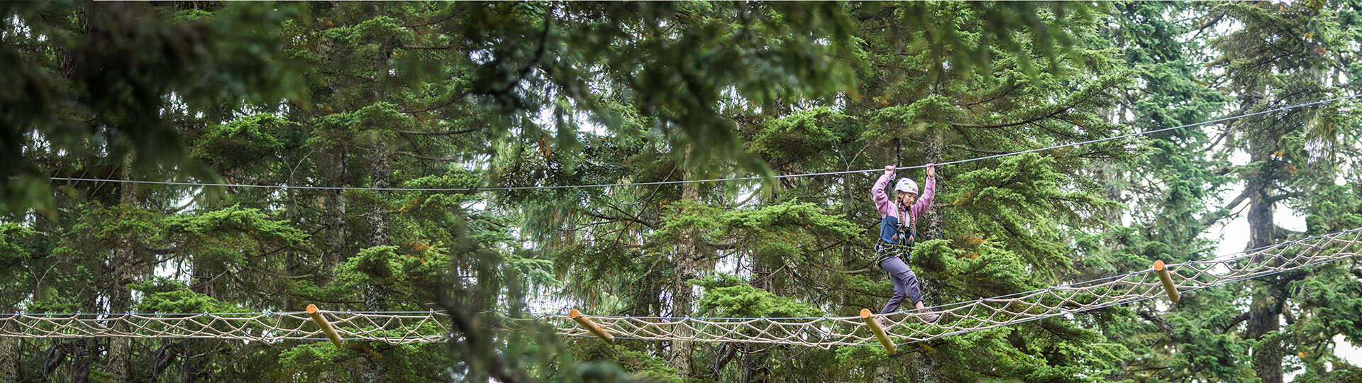 Grouse Mountain - The Peak of Vancouver