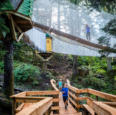 Mountain Ropes Adventure - Kids Tree Canopy Adventure™ | Grouse ...