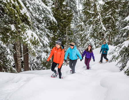 BCMC Trail | Grouse Mountain - The Peak of Vancouver